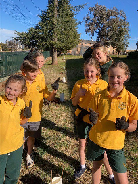 National Tree Day 2021 - Hilltops Council